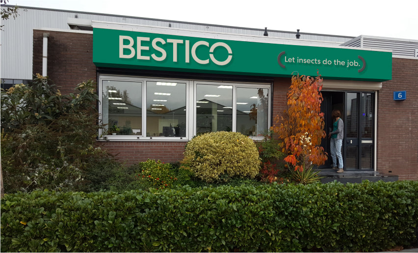 Bestico Store Nederland – Bestico Nederland