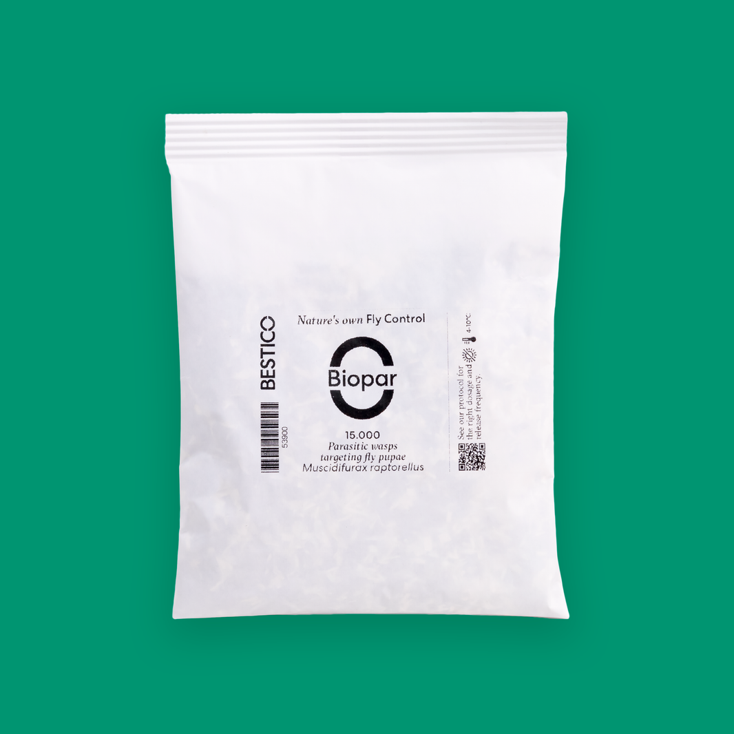 Bestico Store Nederland – Bestico Nederland